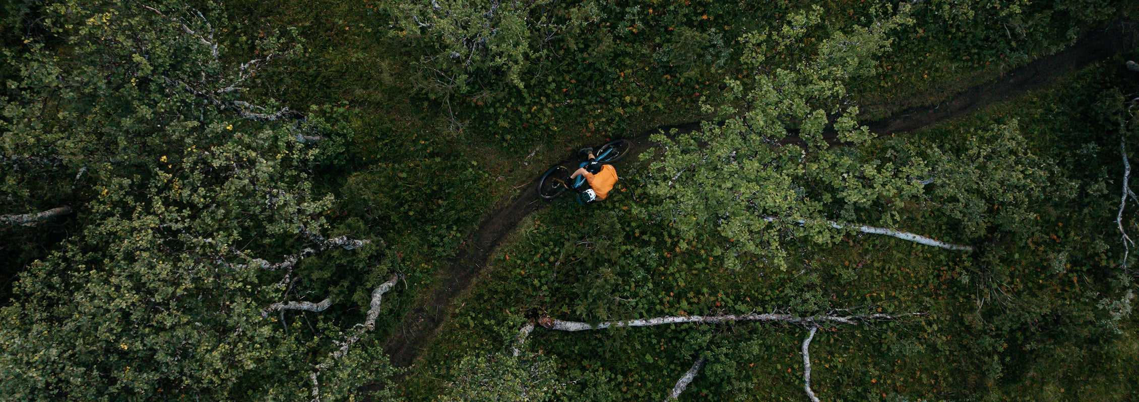 Fullface hjälmar för MTB och downhill online – Mtbstore & Sida 2